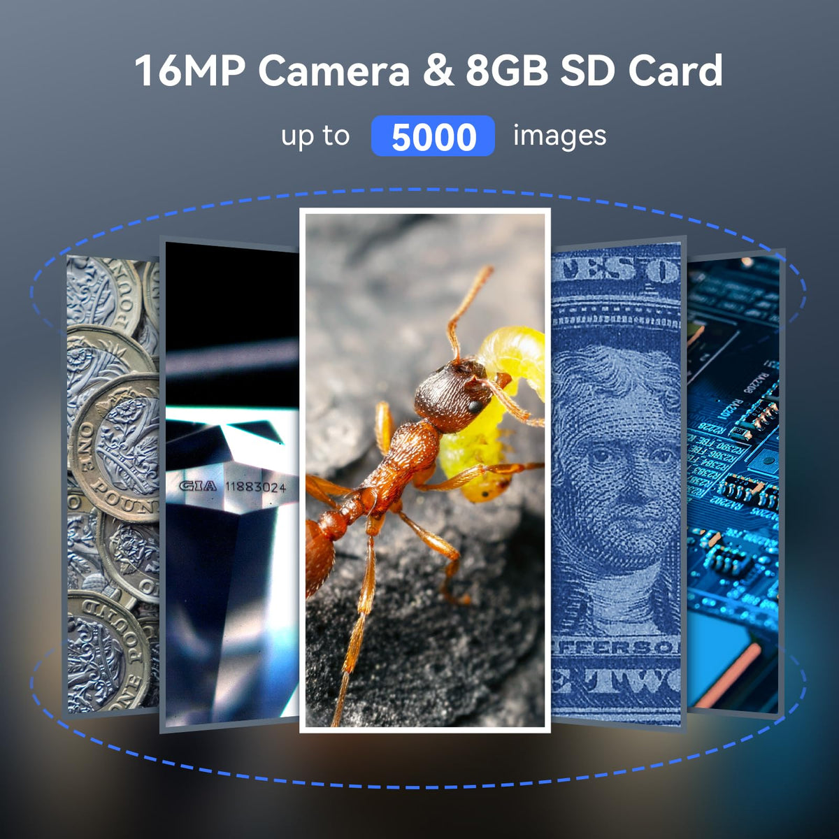 TOMLOV P10 2" LCD Digital Microscope 100X Pocket Magnifying Glass with